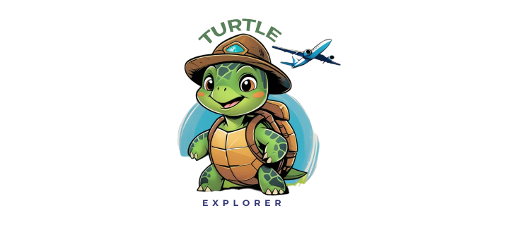 Create Your Perfect Adventure with Turtle Explorer - Turtle Explorer